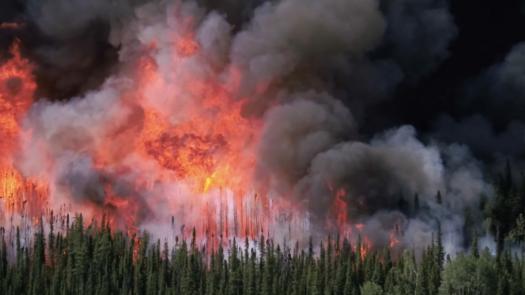 Why BC Residents Should be Preparing Now for Another Rough Wildfire ...